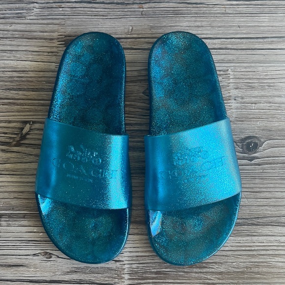 Coach | Shoes | Coach Blue Ulyssa Slide Size 78 | Poshmark